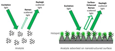 Optimization Of Sers For Glucose Sensing Novus Light Today