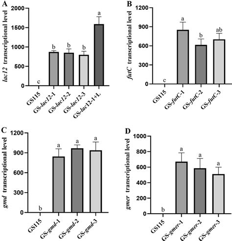 Expression Of Heterologous Genes Lac12 A Futc B Gmd C And Gmer Download Scientific