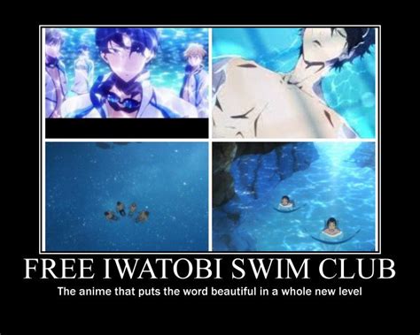 Anime Meme Free Iwatobi Swim Club Free Iwatobi Iwatobi Swim Club