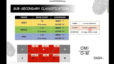 Chapter 5 Classification Formula Crimnolgy Pptx