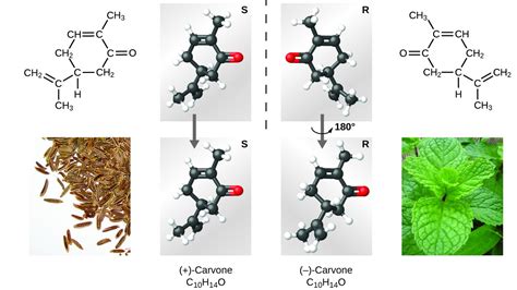 Carbon Molecule Structure