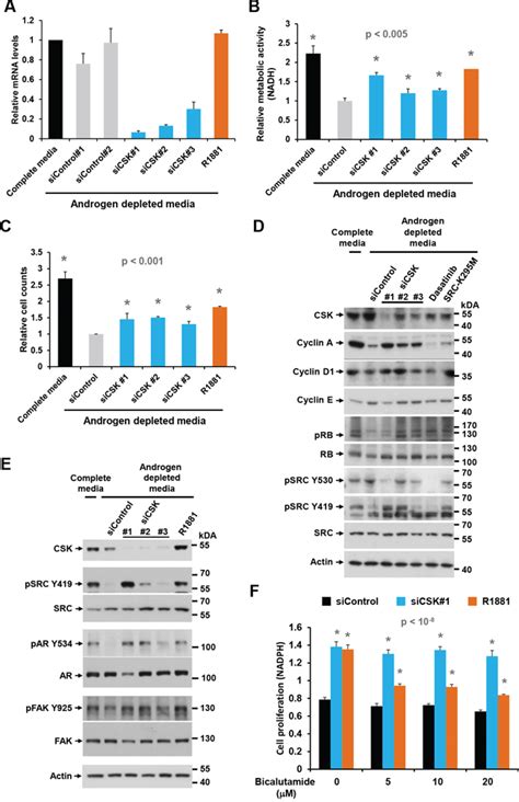 Downregulation Of C Src Kinase Csk Promotes Castration Resistant Prostate Cancer And Pinpoints A