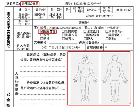 word模板内容替换 代码先锋网