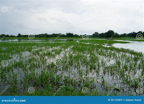 Hii Dailog Box In Green Gradient Colour Stock Image Image Of Isolated Design 261132891