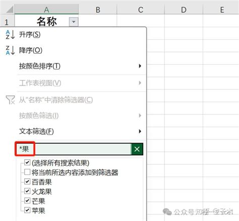 Excel通用符怎么使用一文搞定建议收藏 知乎