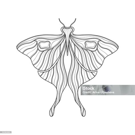 아르누보 스타일의 기본 나비 요소 19201930 년 빈티지 디자인 심볼 모티프 디자인 흰색에 고립되어 있습니다 1920 1929 년에 대한 스톡 벡터 아트 및 기타 이미지