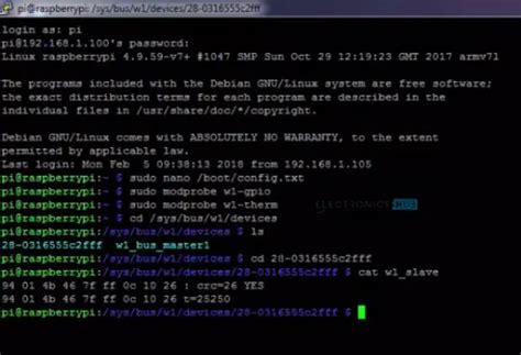 Raspberry Pi DS18B20 Tutorial Basic Interface And IoT Monitor