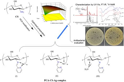 2 Pyridinecarboxaldehyde Modified Chitosansilver Complexes Optimized Preparation