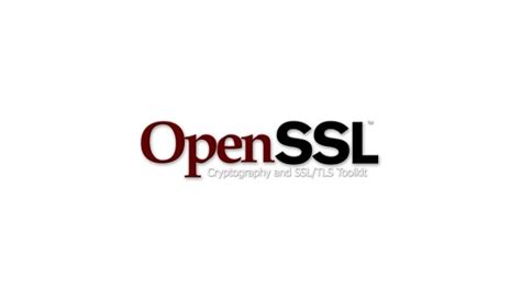 OpenSSL Project Patches Two Security Bugs One Labeled Critical Softpedia