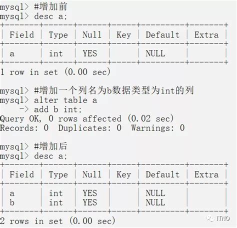 MySQL笔记数据库与数据表内附例子 chen 博客园