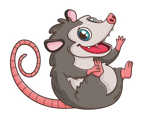 Possum Drawing Cartoon