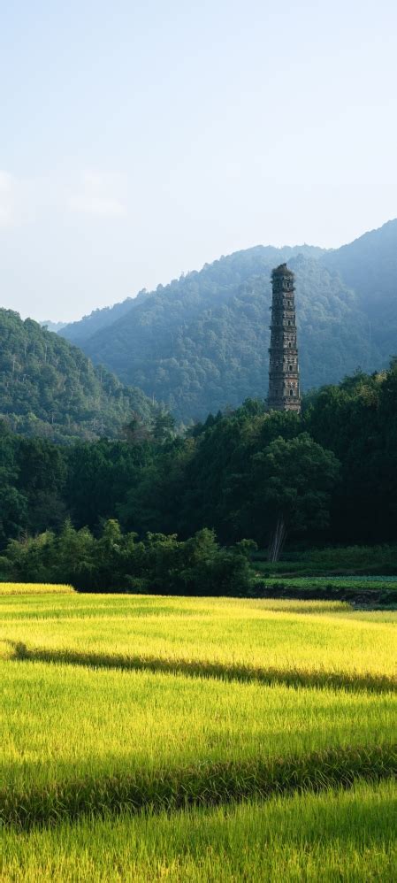 水稻田 山区 唯美 风景 手机桌面壁纸 彼岸桌面