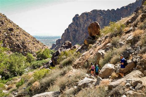 Palm Springs Waterfall Hike Tahquitz Canyon Marquez Five Adventures