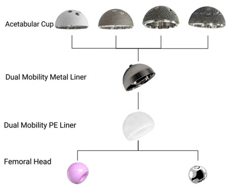 Anti Dislocation Dual Mobility Acetabular System