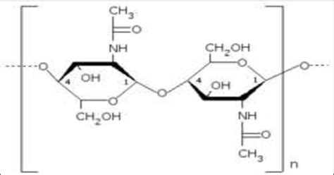 Chitin It Is A Nitrogenous Polysaccharide C8h13no5 N Consisting Of