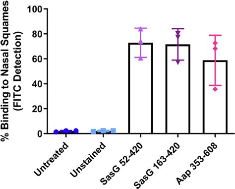 Binding Of Recombinant Proteins Containing The Lectin Domains Of Sasg Download Scientific