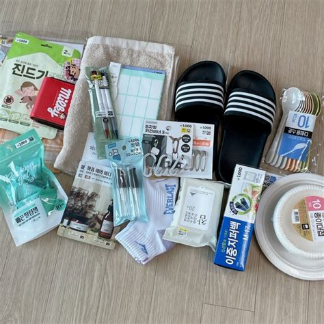 9월 스위스 여행 준비 06 다이소 쇼핑하기 필수품 소매치기 방지템 등 네이버 블로그