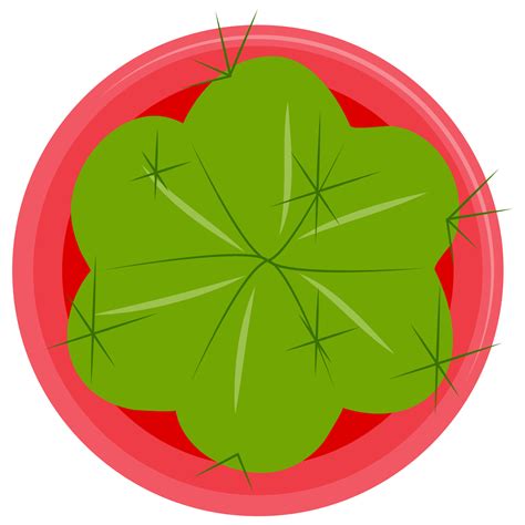 Cactus Top View 21333511 Vector Art At Vecteezy