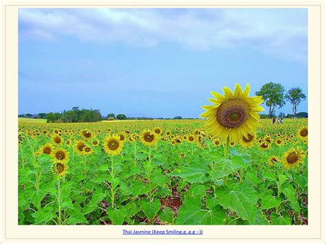 Api Best Practices Webinar Metrics What To Measure Ppt