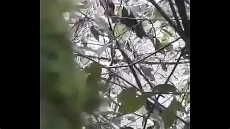 Edali On The River Free Mobile Porn Videos Iporntv