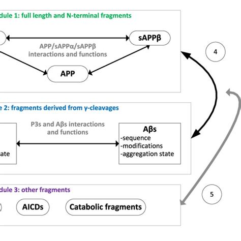 Simplified Approach To Investigating Functional Modules Within The App