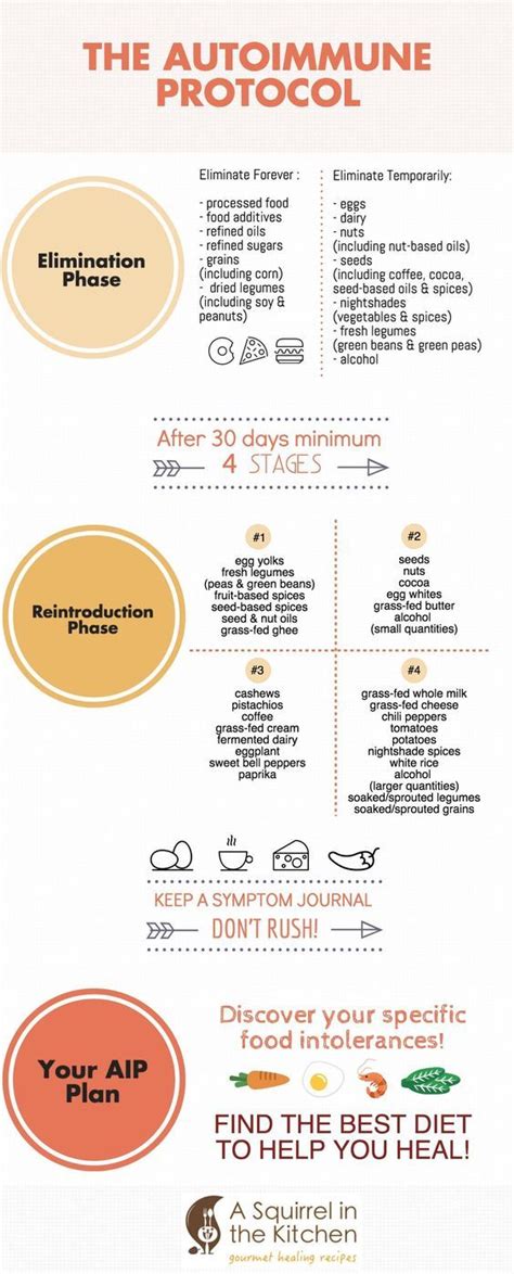 Reintroducing Foods On The Paleo Autoimmune Protocol Aip Autoimmune