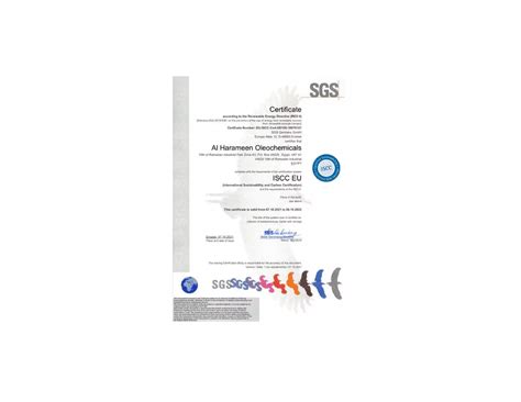 Preparation Your Company For Iscc Certificate Profile And Paste