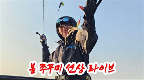 봄쭈꾸미 선상 낚시 오천항 뉴스카이호 쭈꾸미낚시 Youtube