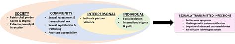 Adapted Social Ecological Model Of Sexually Transmitted Infection Download Scientific Diagram