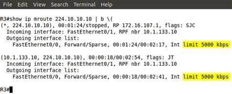Hacking Cisco Lab 165 Multicast Rate Limiting
