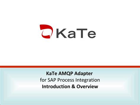 Pdf Amqp Integration Adapter For Sap Process Orchestration Sap