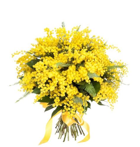 Букет мимозы лучший солнцезаменитель🌞 СКОРО в наличии Поднимает настроение дарит ощущение
