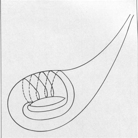 A Simple Curve On The Punctured Torus Download Scientific Diagram