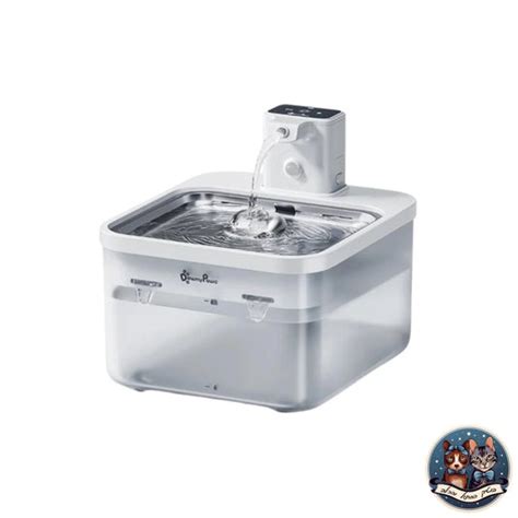 בוטיק החתול והכלב כל הציוד לגידול חתולים וכלבים