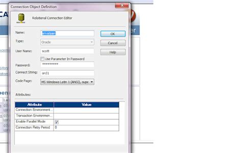 Informatica And Boxi For Dummies Creation Of Relational Connection