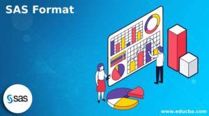 SAS Format Complete Guide On SAS Format With Detailed Overview