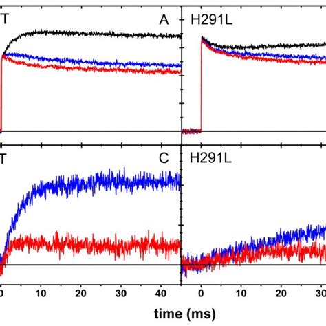 Flash Induced Cyt C Re Reduction Kinetics Following A Single Turnover