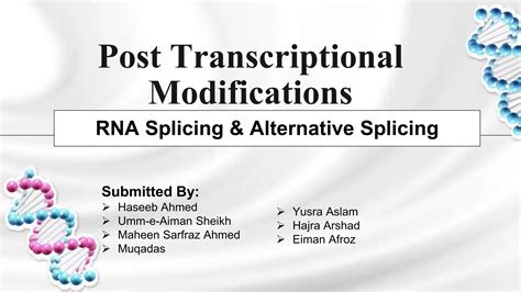 Group 6 Post Transcriptional Modifications Rna Splicng And Alternative Splicing Pptx