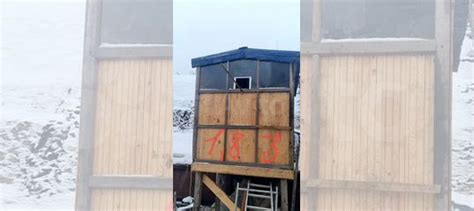 Голубятник с Голубями купить в Химках Животные и зоотовары Авито