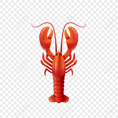 큰 랍스터 음식 Png 일러스트 무료 다운로드 Lovepik
