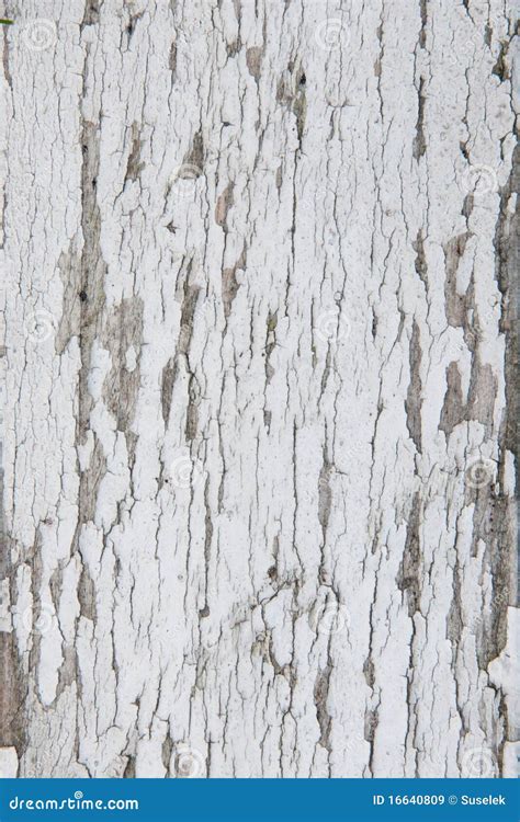 Old Weathered Wood Board Texture Stock Image Image Of Texture Rough