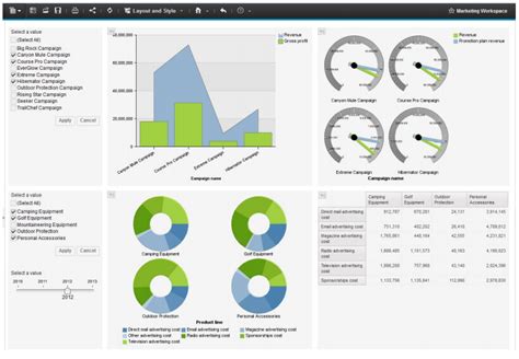 IBM Cognos Express Facts Features Arbor Solutions