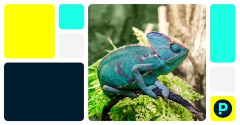 Collecting Job Metrics Using Prometheus Pushgateway By Benjamin