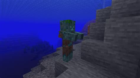 How To Get Nautilus Shell In Minecraft 1 19 Update