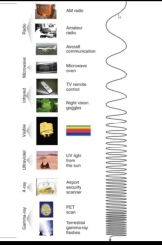 Lecture 1 Principles Of Radiology Flashcards Quizlet