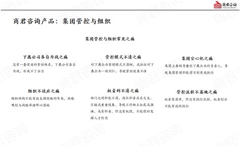 集团管控与组织 商君管理咨询有限公司