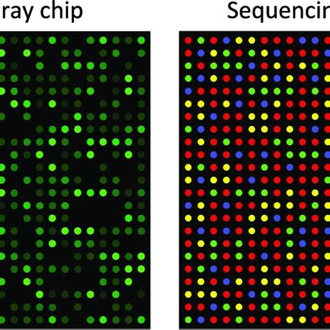 Microarray And Sequencing Flow Cell Microarrays And Rna Sequencing