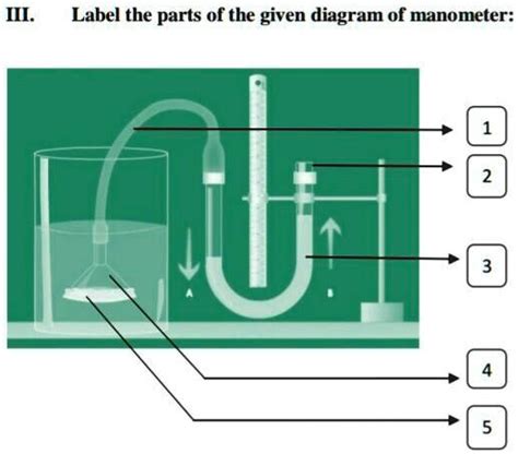 Solved Dont Spam Give Correct Answer Mi Label The Parts Of The