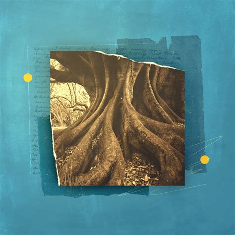 The Importance Of Christian Doctrine