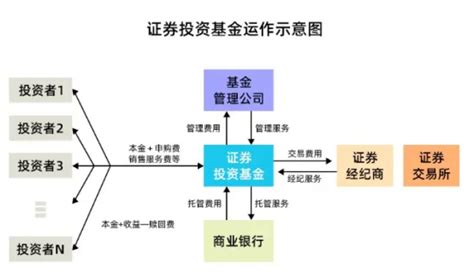 什么是基金？怎么理解基金？ 股市聚焦赢家财富网